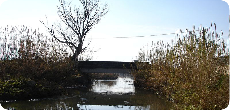 Striano: Dove Dormire, Dove Mangiare, Cosa visitare